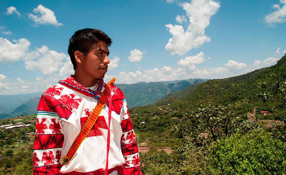 Exploring the Spiritual Roots of Huichol Art: A Nayarit Tradition